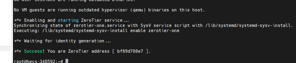 Zerotier实现不限制流量和自己域名的内网穿透 – 栋dong的个人站点